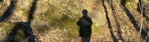 About Gayil Nalls – World Sensorium / Conservancy