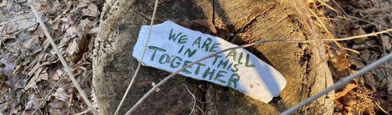 About World Sensorium/Conservancy – World Sensorium / Conservancy