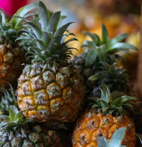 Antigua and Barbuda – World Sensorium / Conservancy