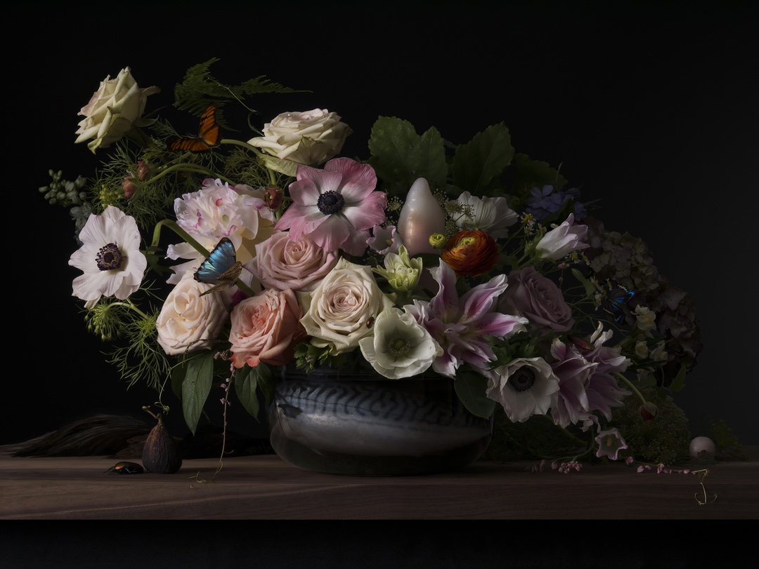 Stilled Chimeras – World Sensorium / Conservancy