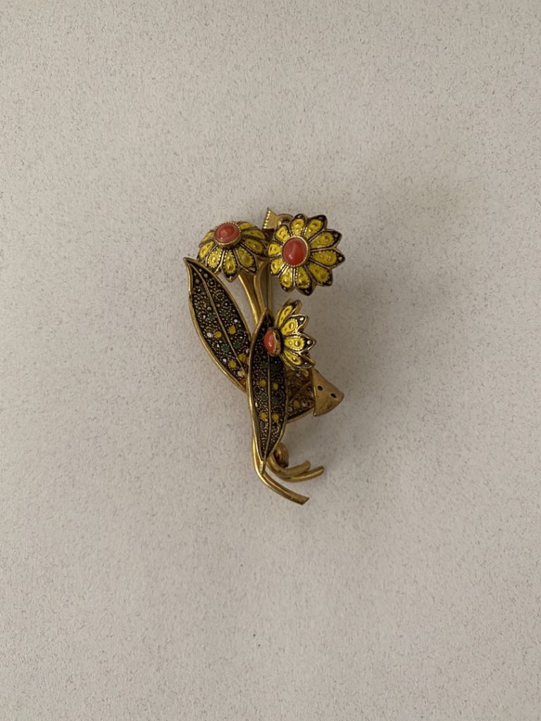 Daisies – World Sensorium / Conservancy