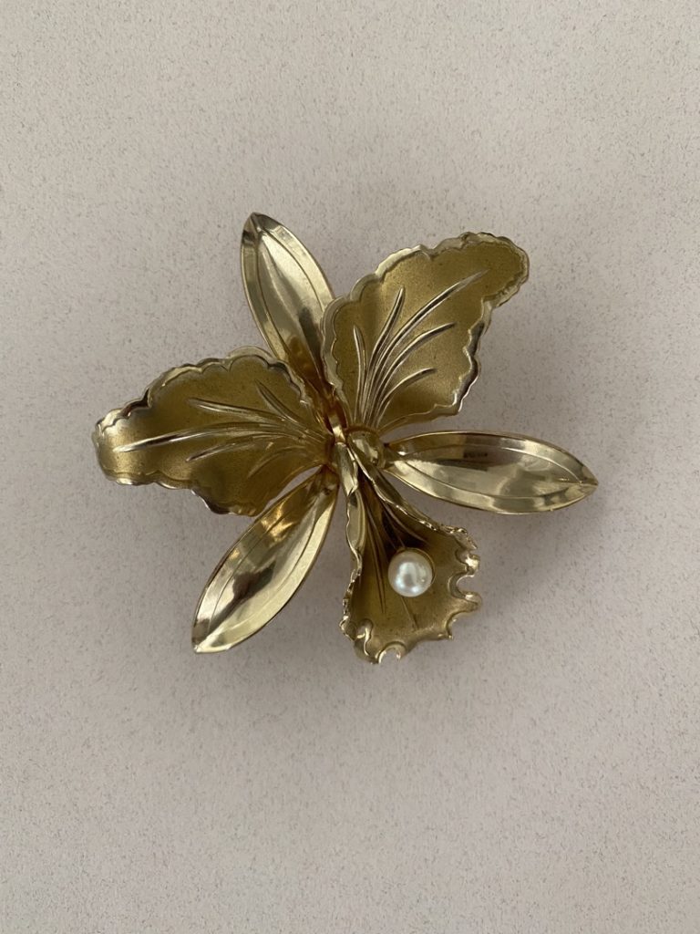 Orchid – World Sensorium / Conservancy