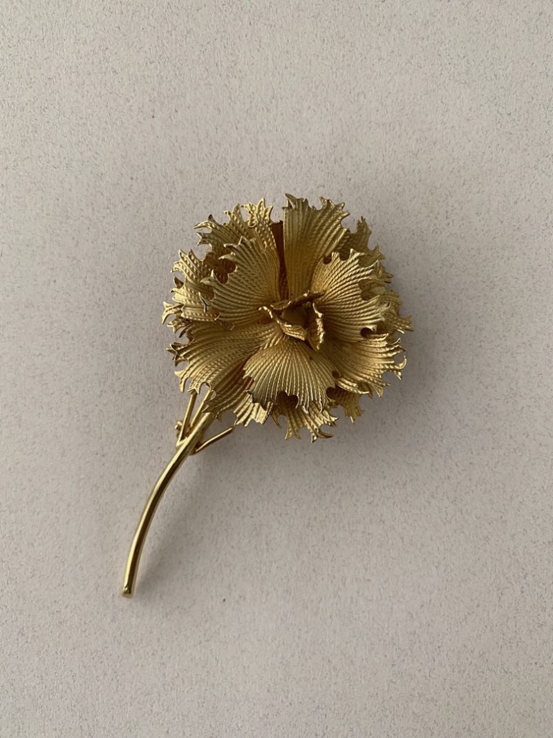 Gold Carnation – World Sensorium / Conservancy
