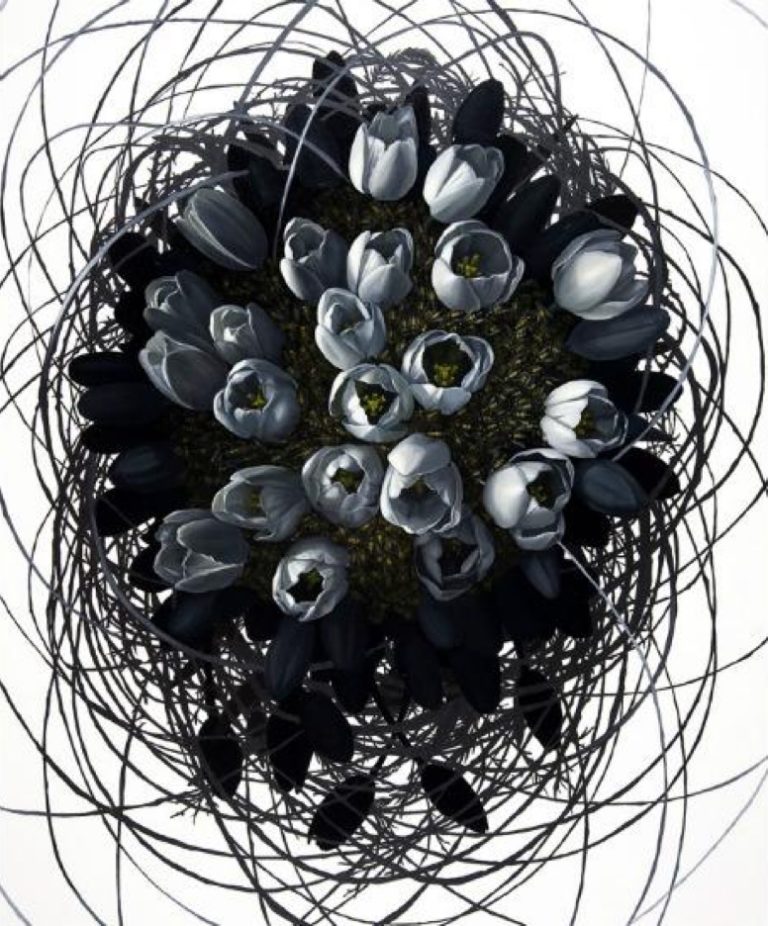 Molecular Still Lives – World Sensorium / Conservancy