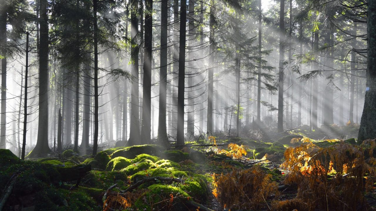 20 New Biosphere Reserves – World Sensorium / Conservancy