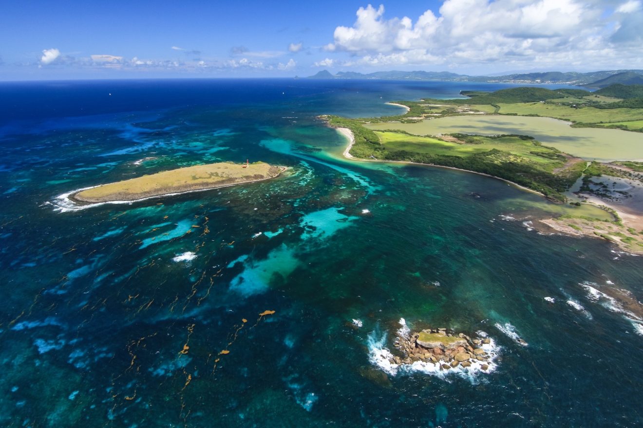 20 New Biosphere Reserves – World Sensorium / Conservancy