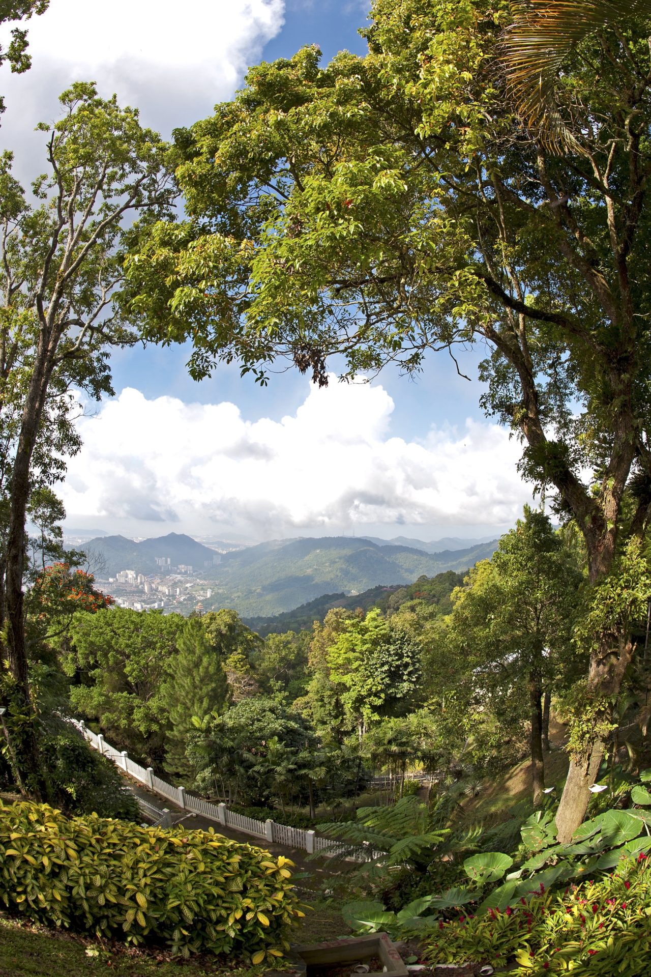 20 New Biosphere Reserves – World Sensorium / Conservancy