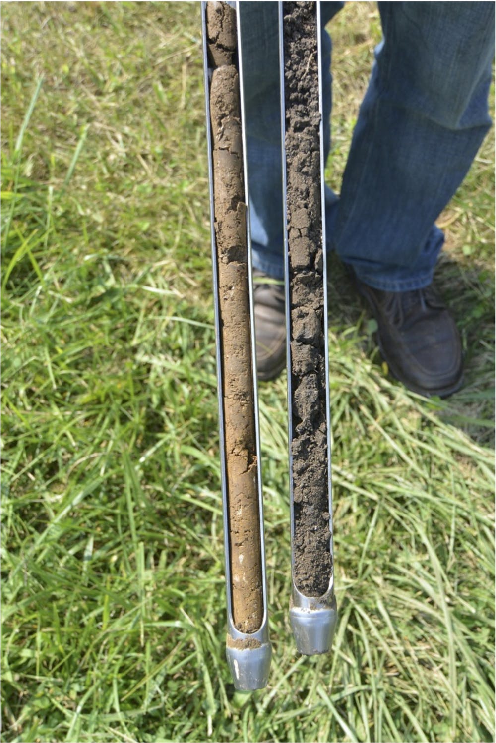 Healthy soil is the real key to feeding the world – World Sensorium ...