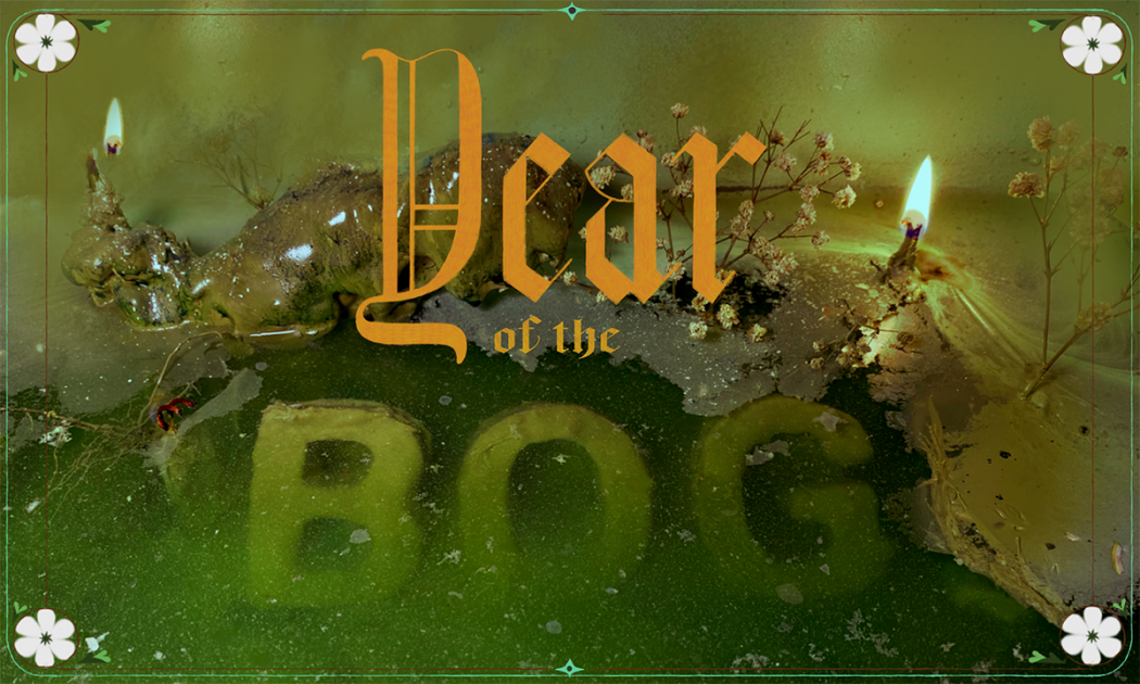 Berlin’s Bog as Metaphor – World Sensorium / Conservancy