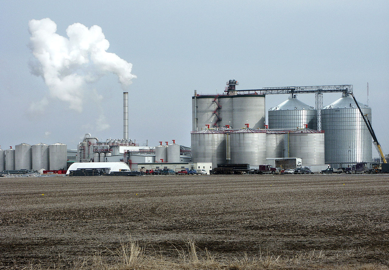 The US biofuel mandate – World Sensorium / Conservancy