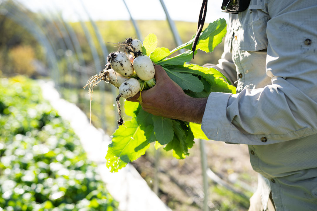 A Mission to Save Farming – World Sensorium / Conservancy