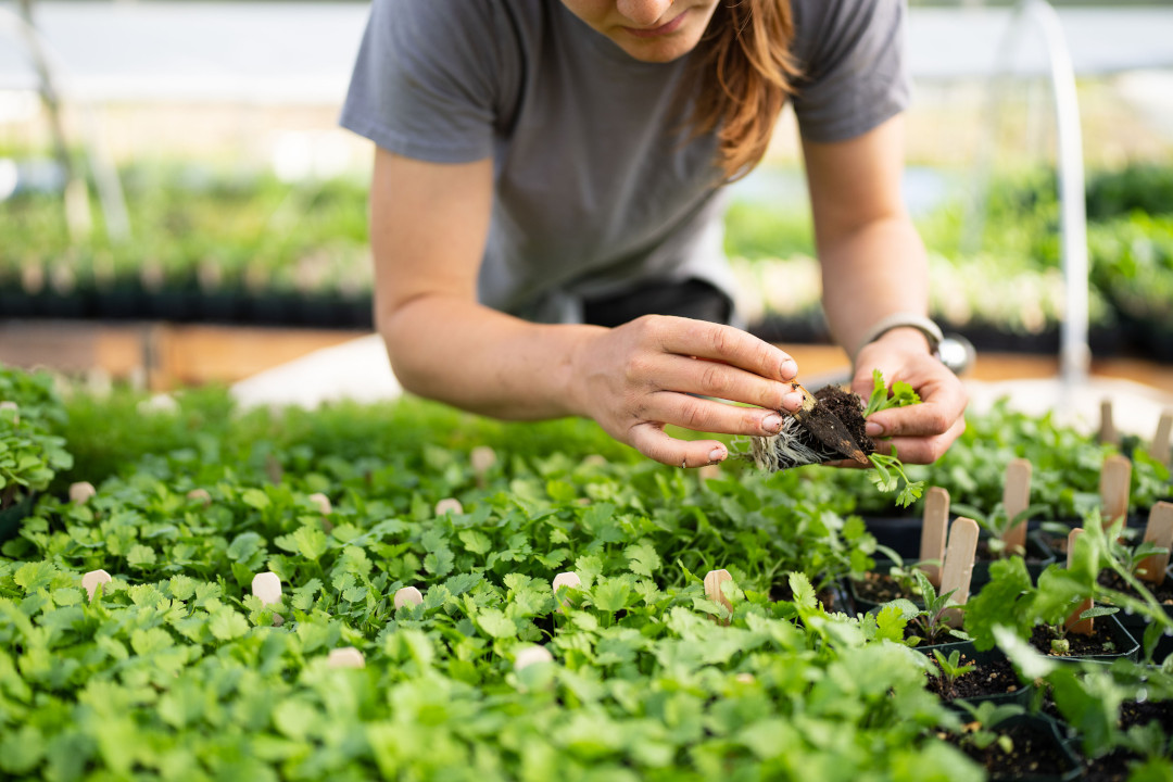 A Mission to Save Farming – World Sensorium / Conservancy