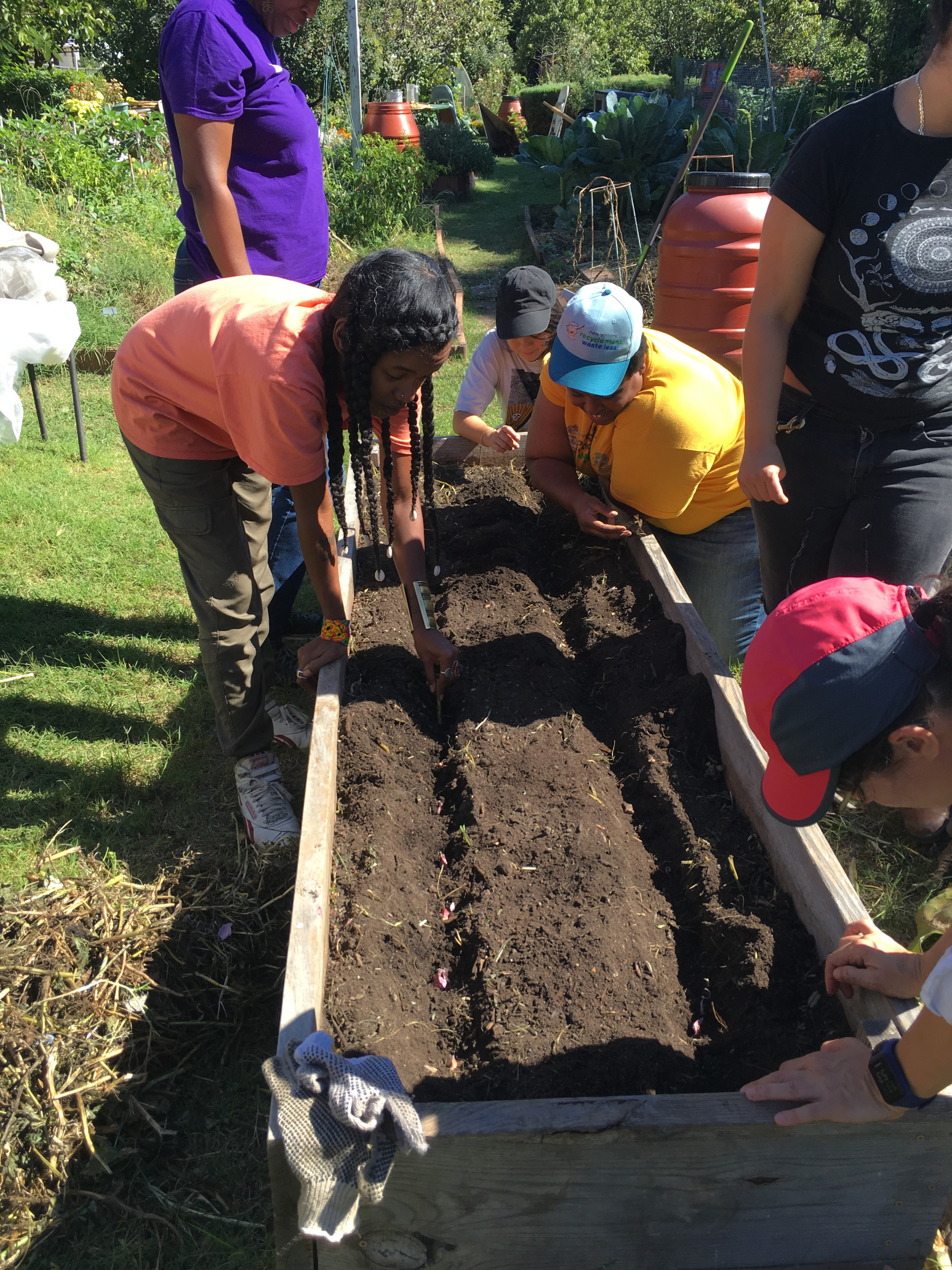 A Path to Healing Through Growing at Home – World Sensorium / Conservancy