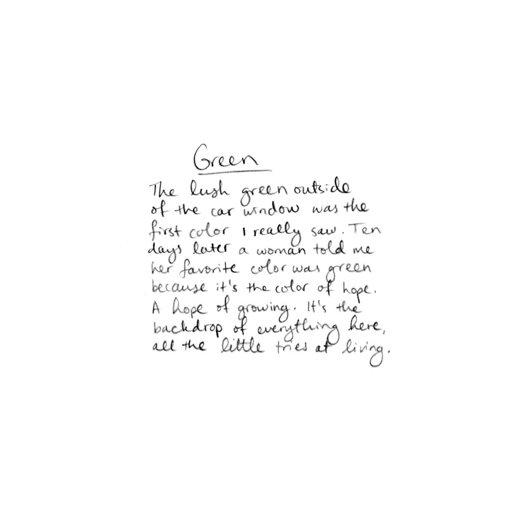 El Color De – World Sensorium / Conservancy