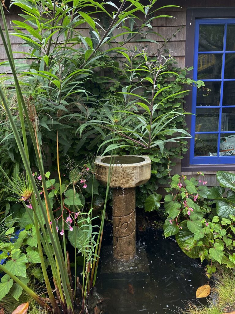 Robert Dash’s Madoo – World Sensorium / Conservancy