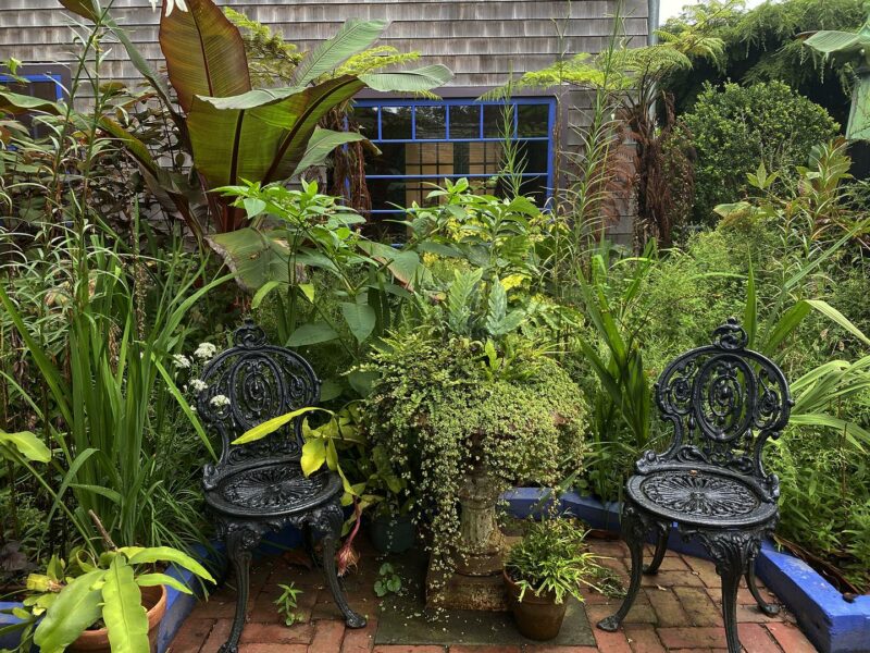 Robert Dash’s Madoo – World Sensorium / Conservancy