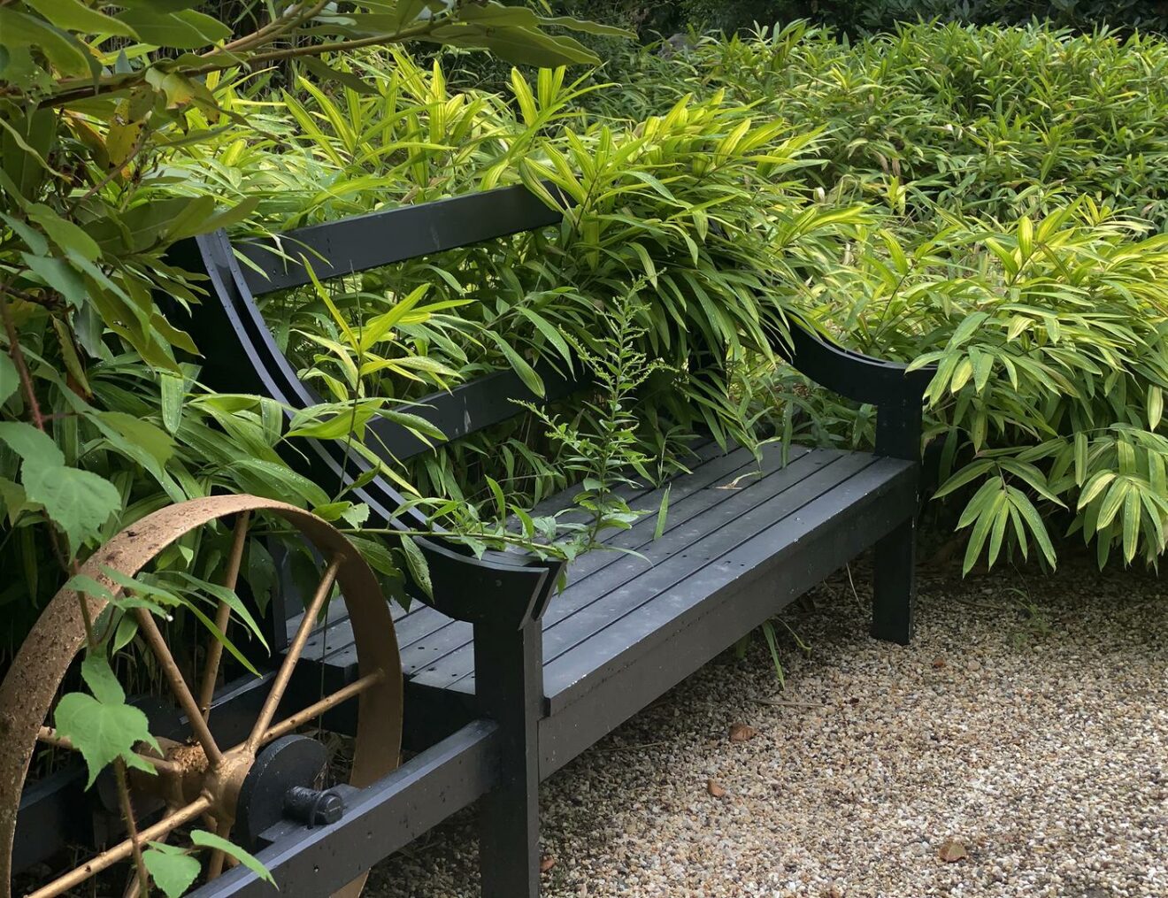 Robert Dash’s Madoo – World Sensorium / Conservancy