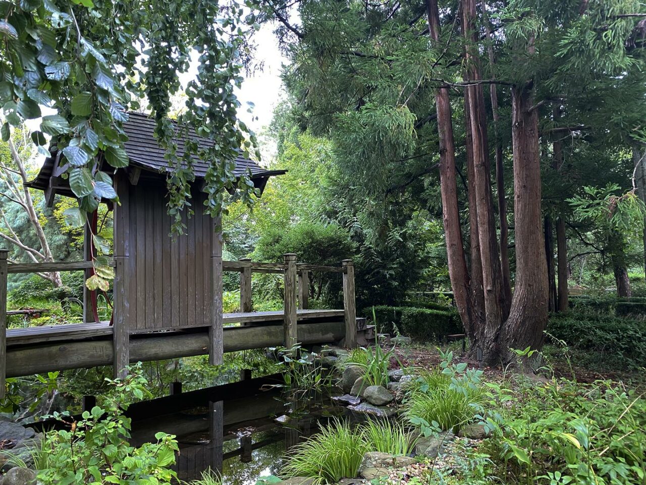 Robert Dash’s Madoo – World Sensorium / Conservancy