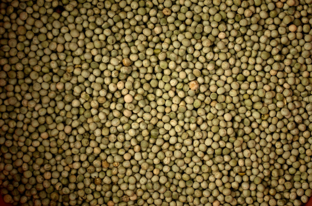 Pea Coffee – World Sensorium / Conservancy