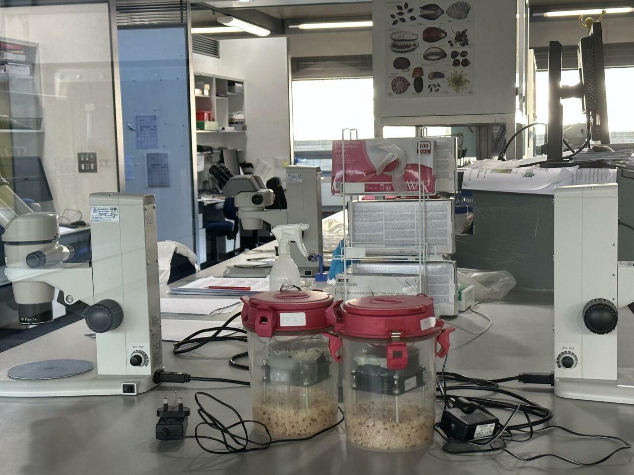 KEW’s Millennium Seed Bank: A Mission to Save Plant Life on Planet ...