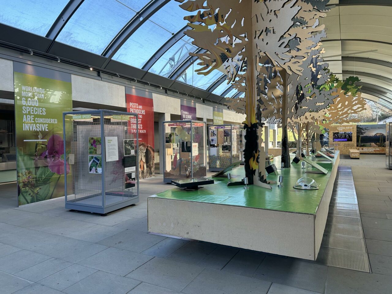 KEW’s Millennium Seed Bank: A Mission to Save Plant Life on Planet ...