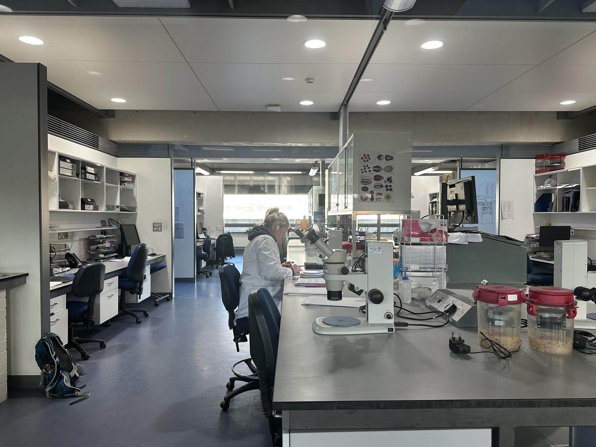 KEW’s Millennium Seed Bank: A Mission to Save Plant Life on Planet ...