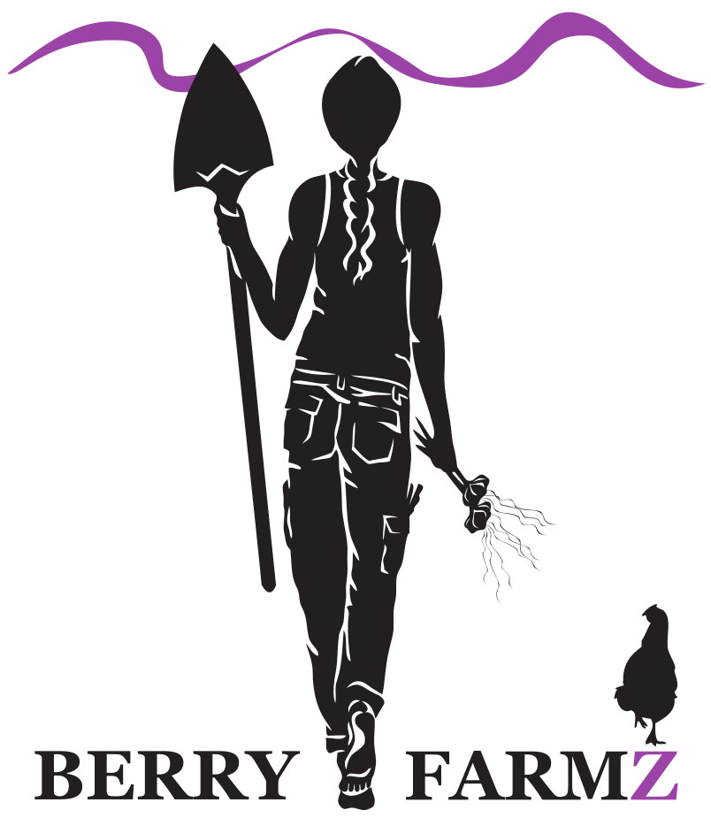 How Does Your Garden Grow? – World Sensorium / Conservancy