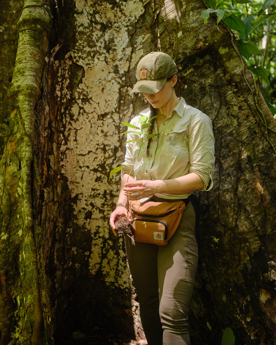 Mind the Darién Gap: Saving Central America’s Endangered Rainforest ...