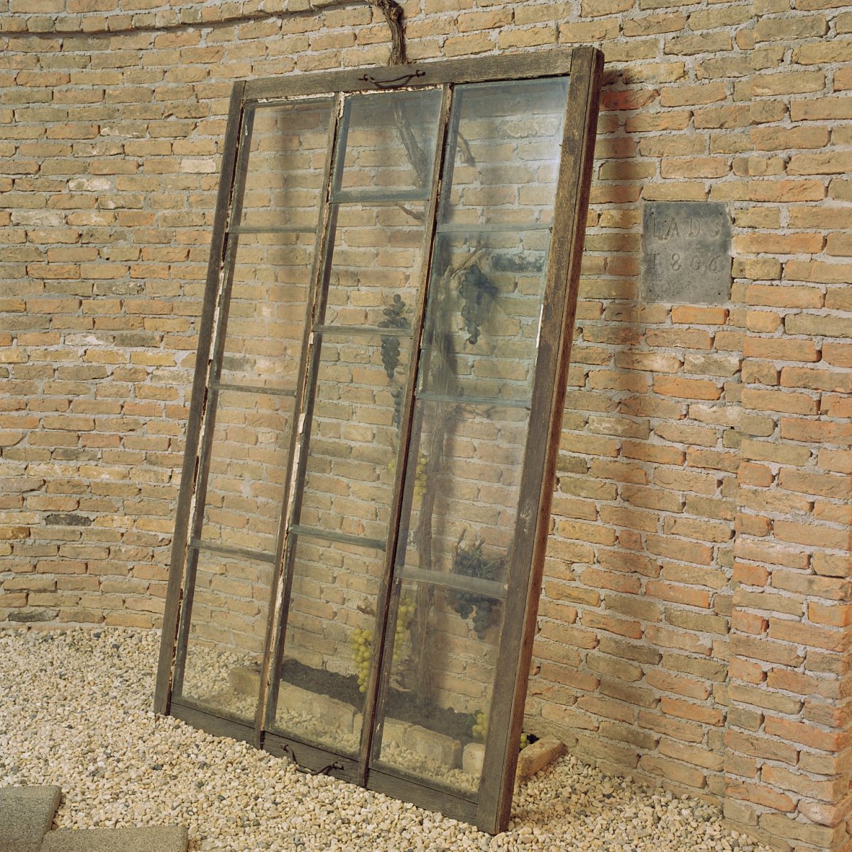 Fruit Walls: Urban Farming in the 1600s – World Sensorium / Conservancy