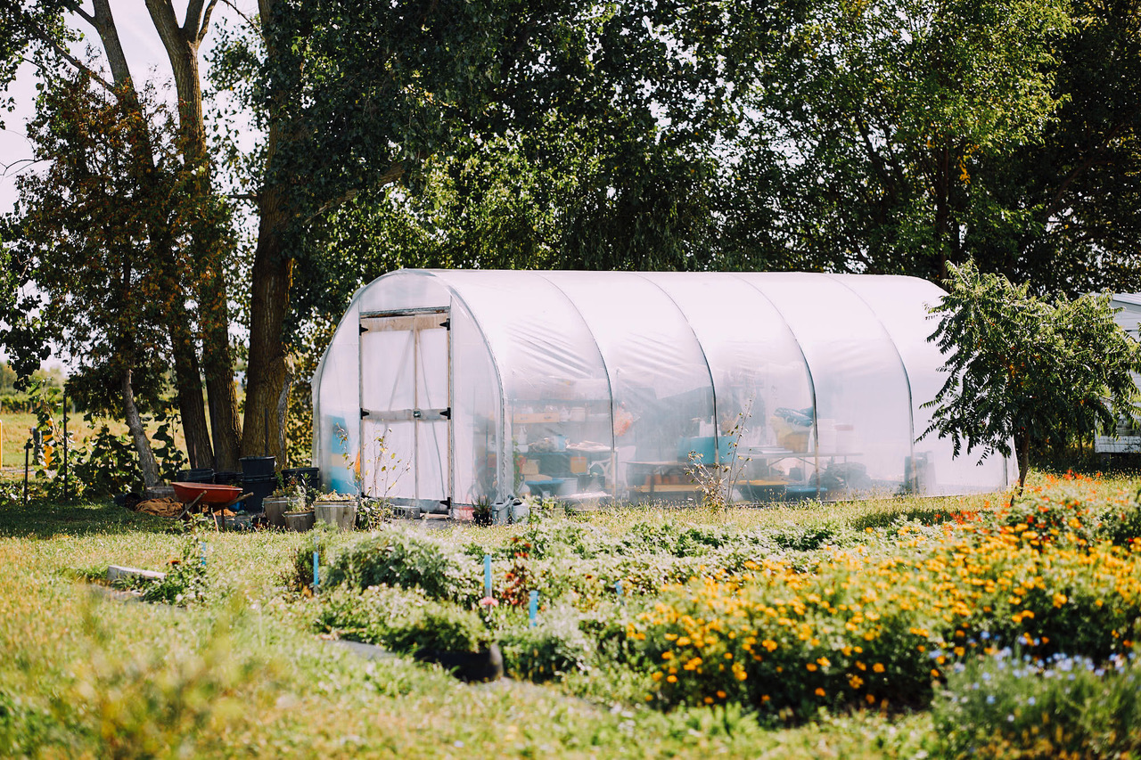 Deirdre Fraser: The Plant Wizard of Pearl Morissette – World Sensorium ...