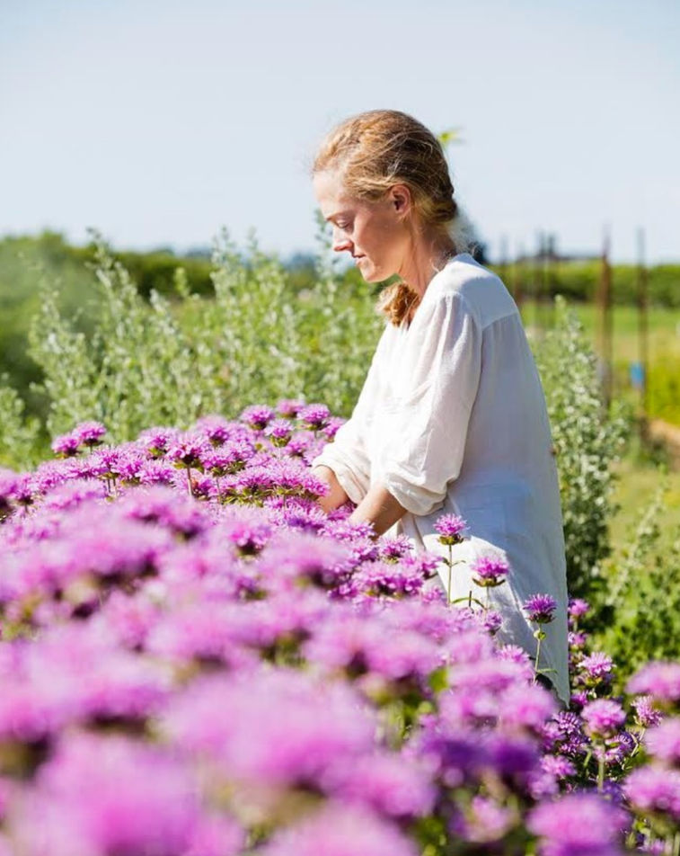Deirdre Fraser: The Plant Wizard of Pearl Morissette – World Sensorium ...