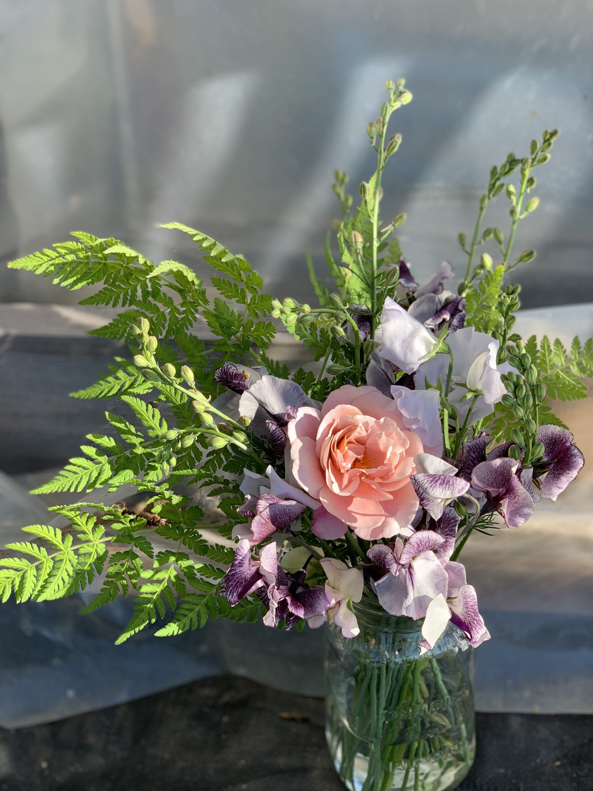 Deirdre Fraser: The Plant Wizard of Pearl Morissette – World Sensorium ...