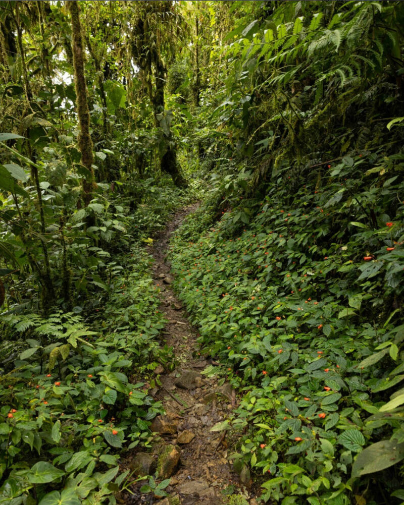 Inspiring The Next Generation of Conservation – World Sensorium ...