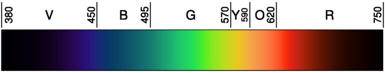 Exploring the Vibrant World of Indigo: History, Controversies, and ...