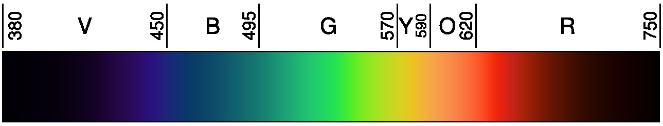 Exploring the Vibrant World of Indigo: History, Controversies, and ...