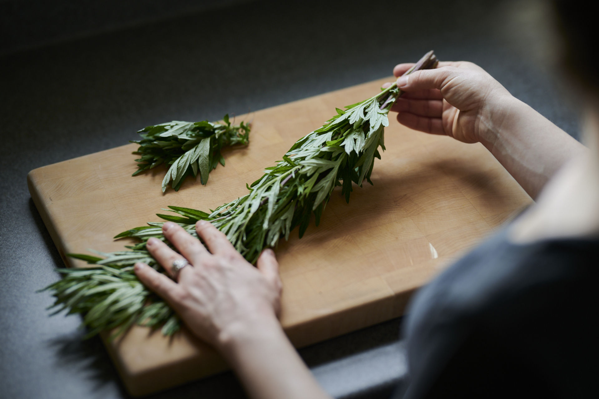 Viriditas: Musings on Magical Plants: Artemisia vulgaris – World ...