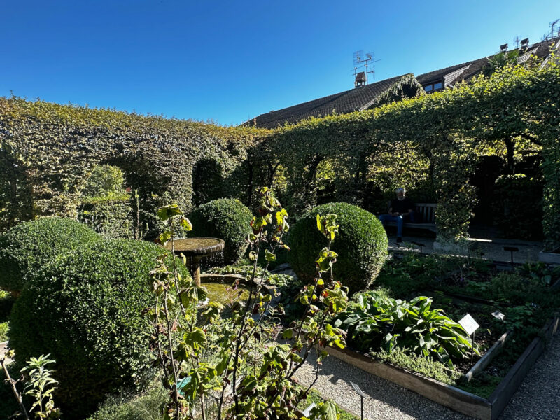 The Garden of the Five Senses – World Sensorium / Conservancy