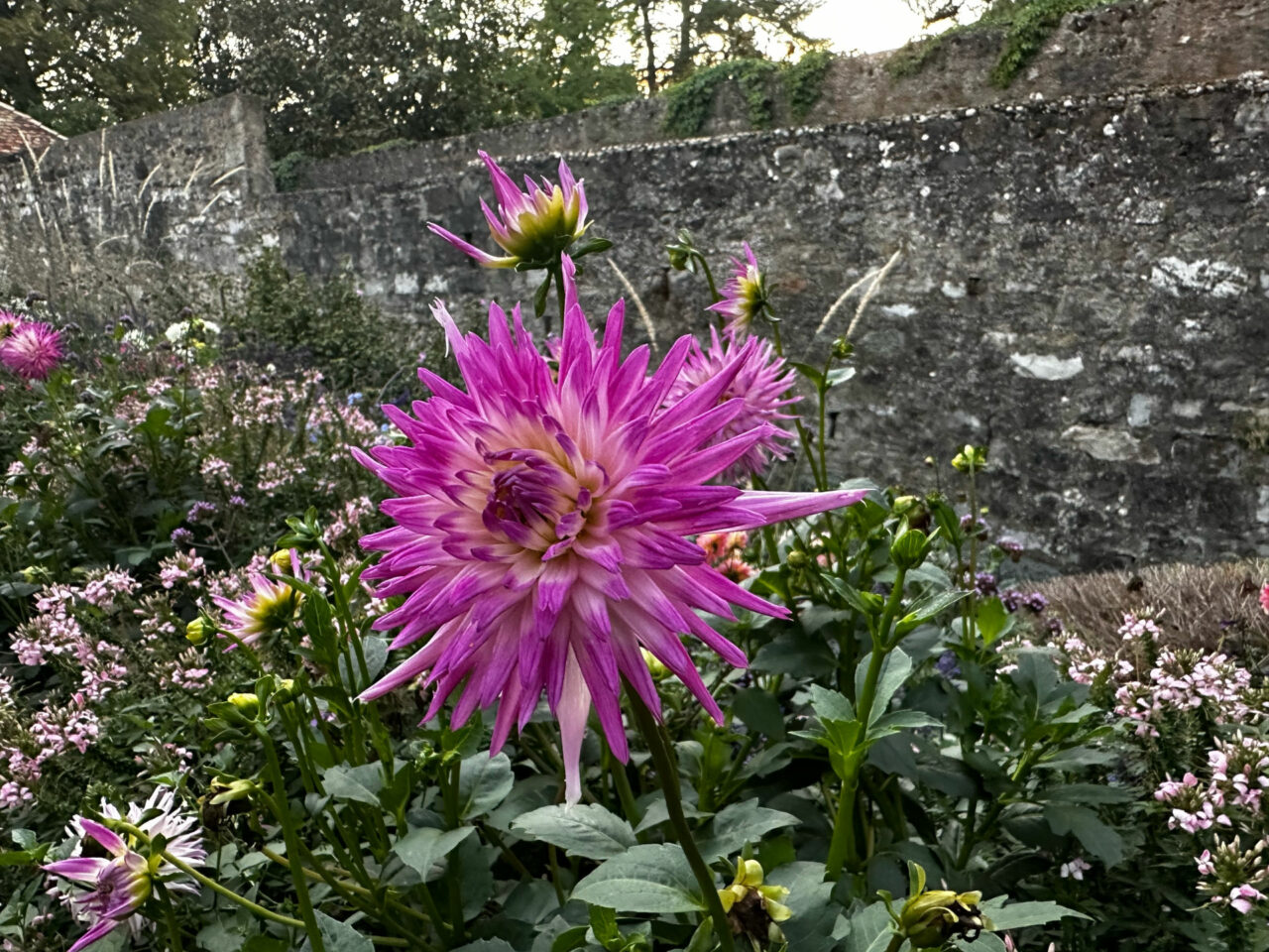 The Garden of the Five Senses – World Sensorium / Conservancy