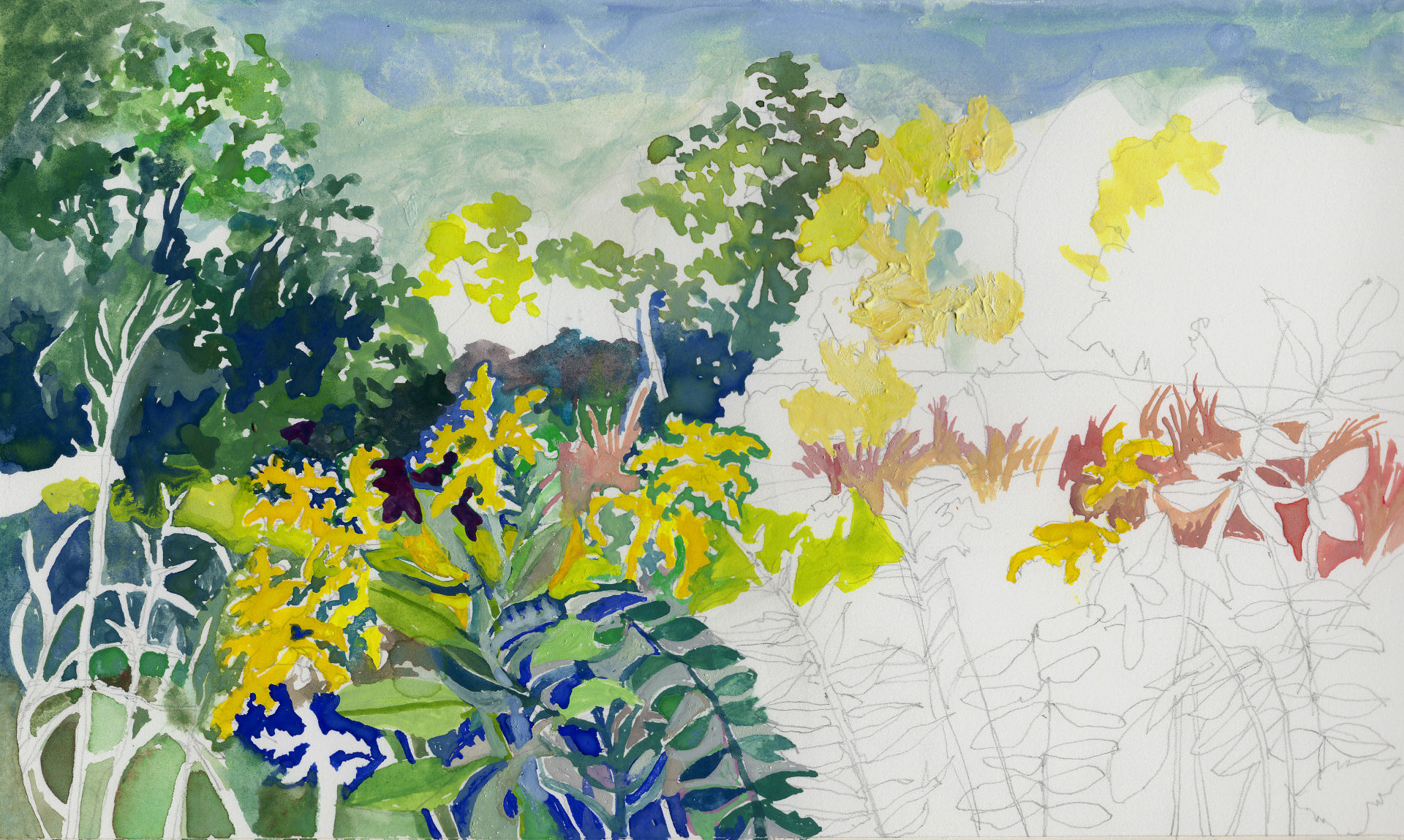 Nature Sketching with WSC-October: Capturing Landscapes in Light, Shade ...