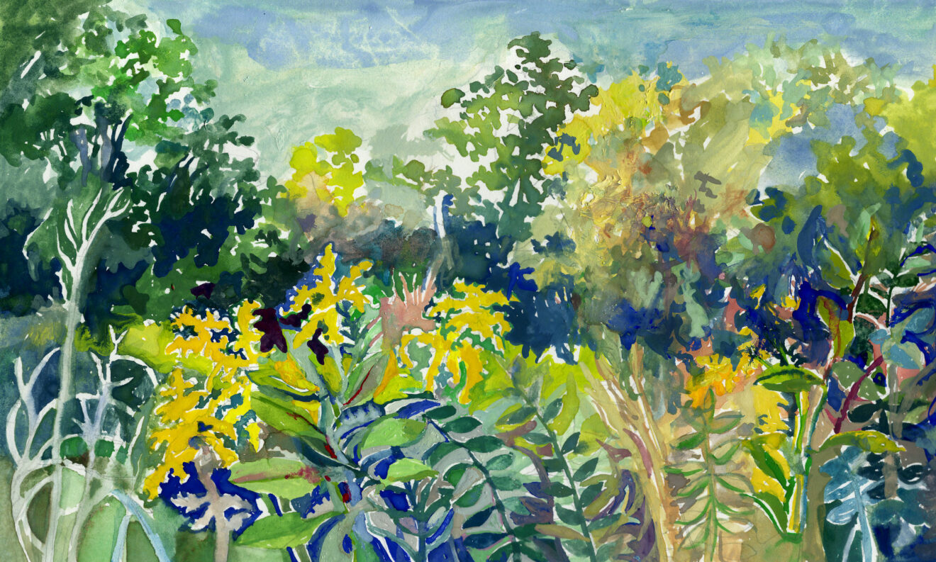 Nature Sketching with WSC-October: Capturing Landscapes in Light, Shade ...