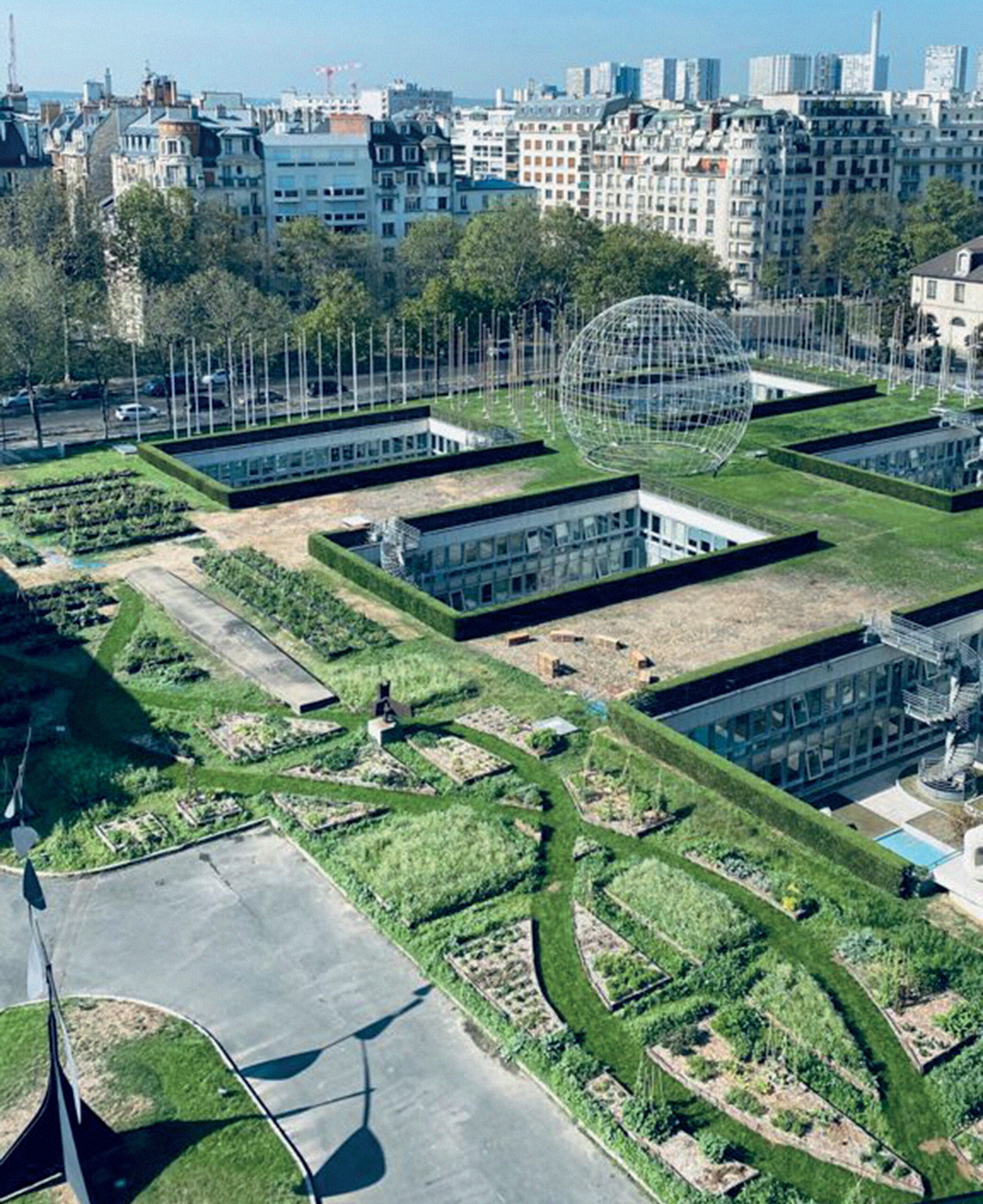 A Flourishing Vegetable and Biodiversity Garden at UNESCO: An Interview ...