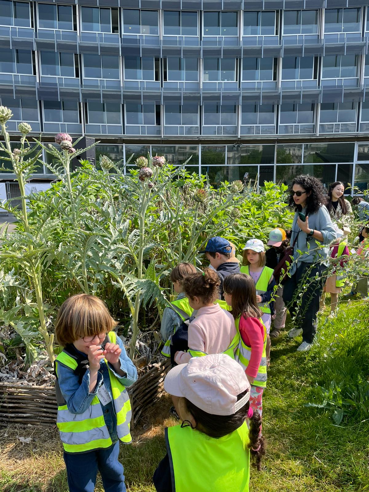 A Flourishing Vegetable and Biodiversity Garden at UNESCO: An Interview ...