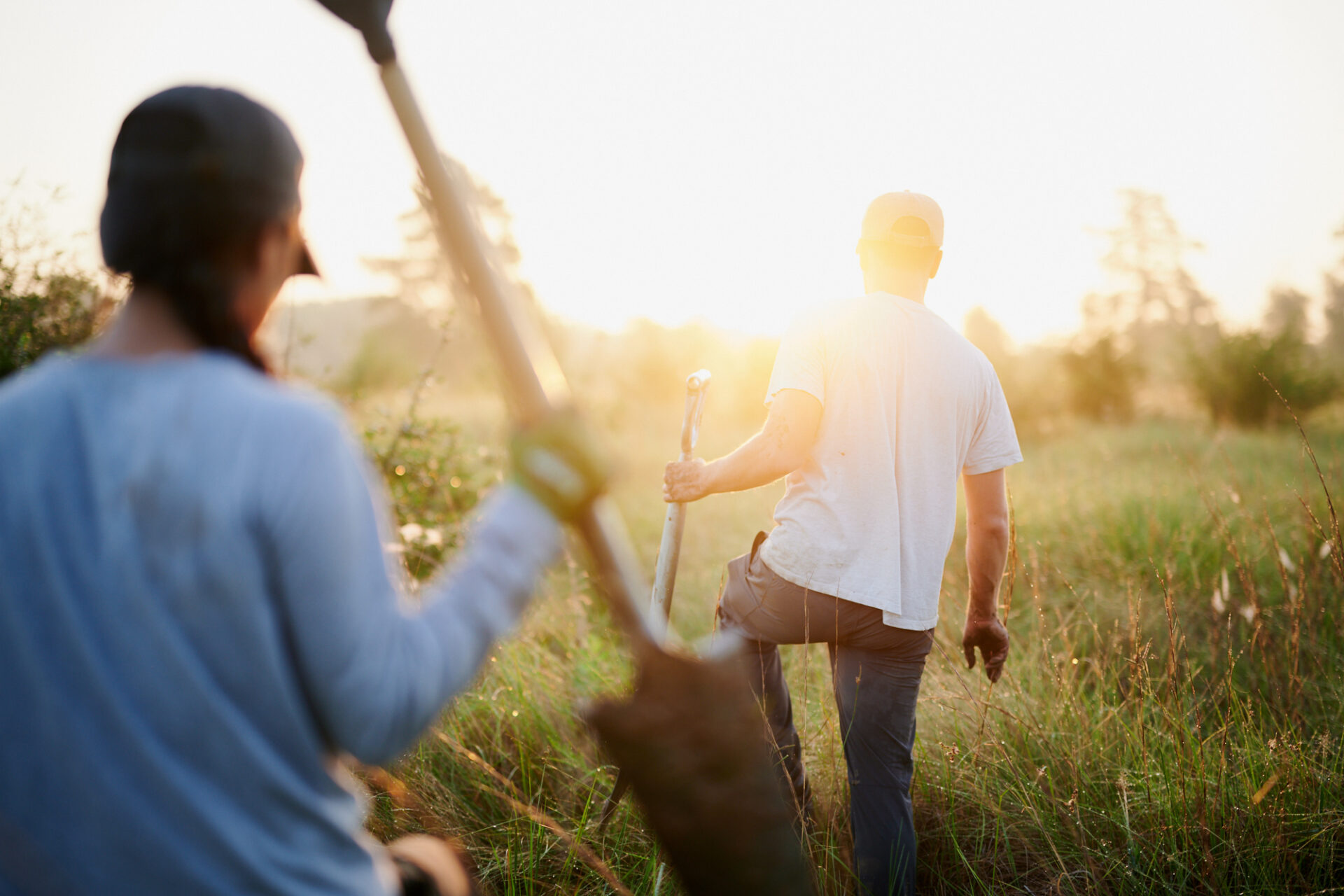 Manmade in Nature’s Image: Lessons in Landscape Architecture with Dept. – World Sensorium ...
