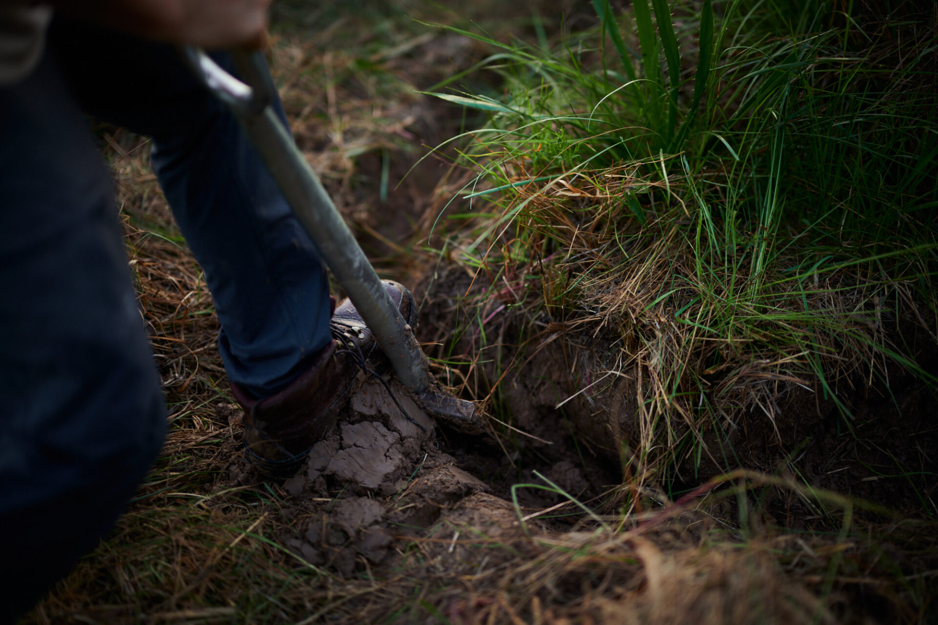 Manmade in Nature’s Image: Lessons in Landscape Architecture with Dept. – World Sensorium ...