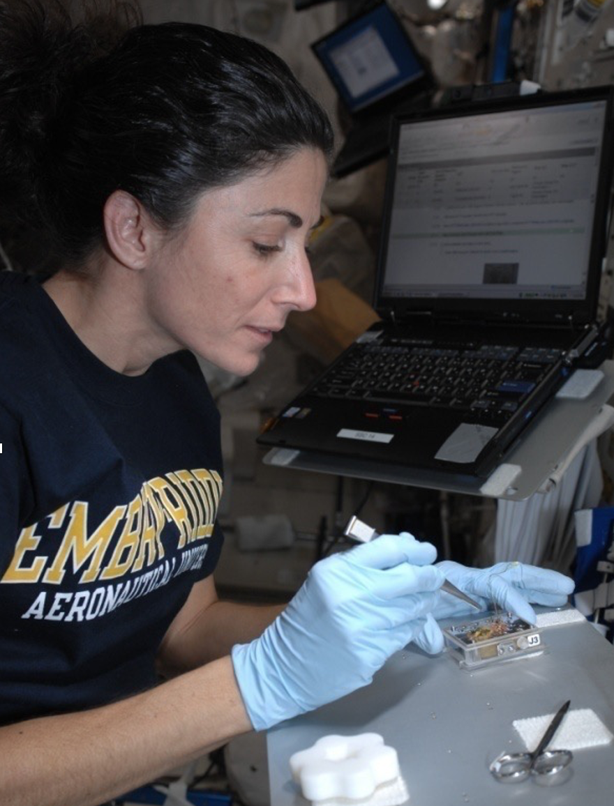 Astronaut Nicole Stott’s Earthrise Moment – World Sensorium / Conservancy