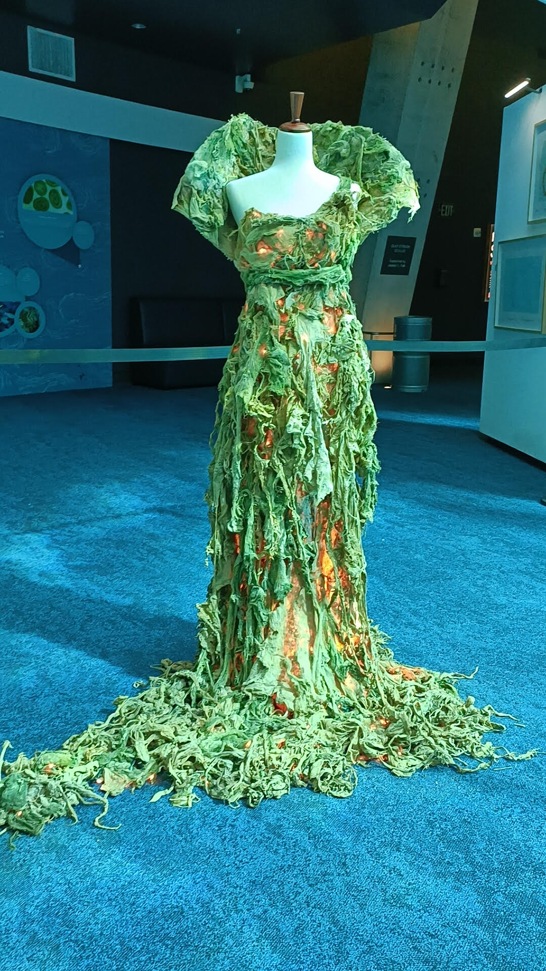 Biocouture: Are Aquatic Plants the Future of Sustainable Fashion ...