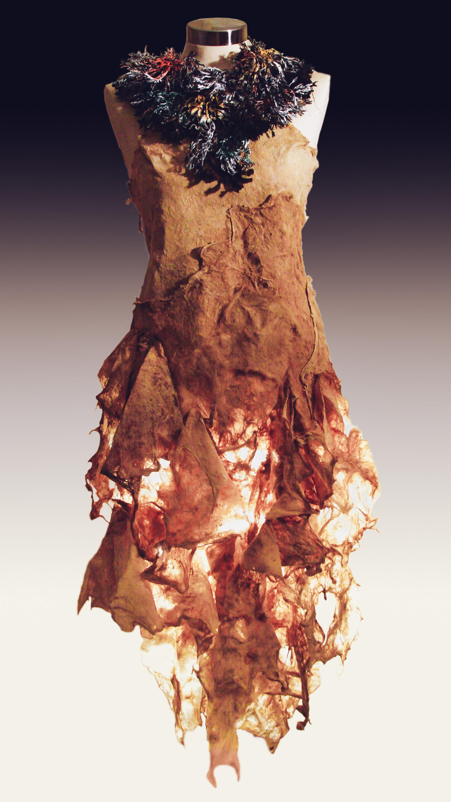 Biocouture: Are Aquatic Plants the Future of Sustainable Fashion ...