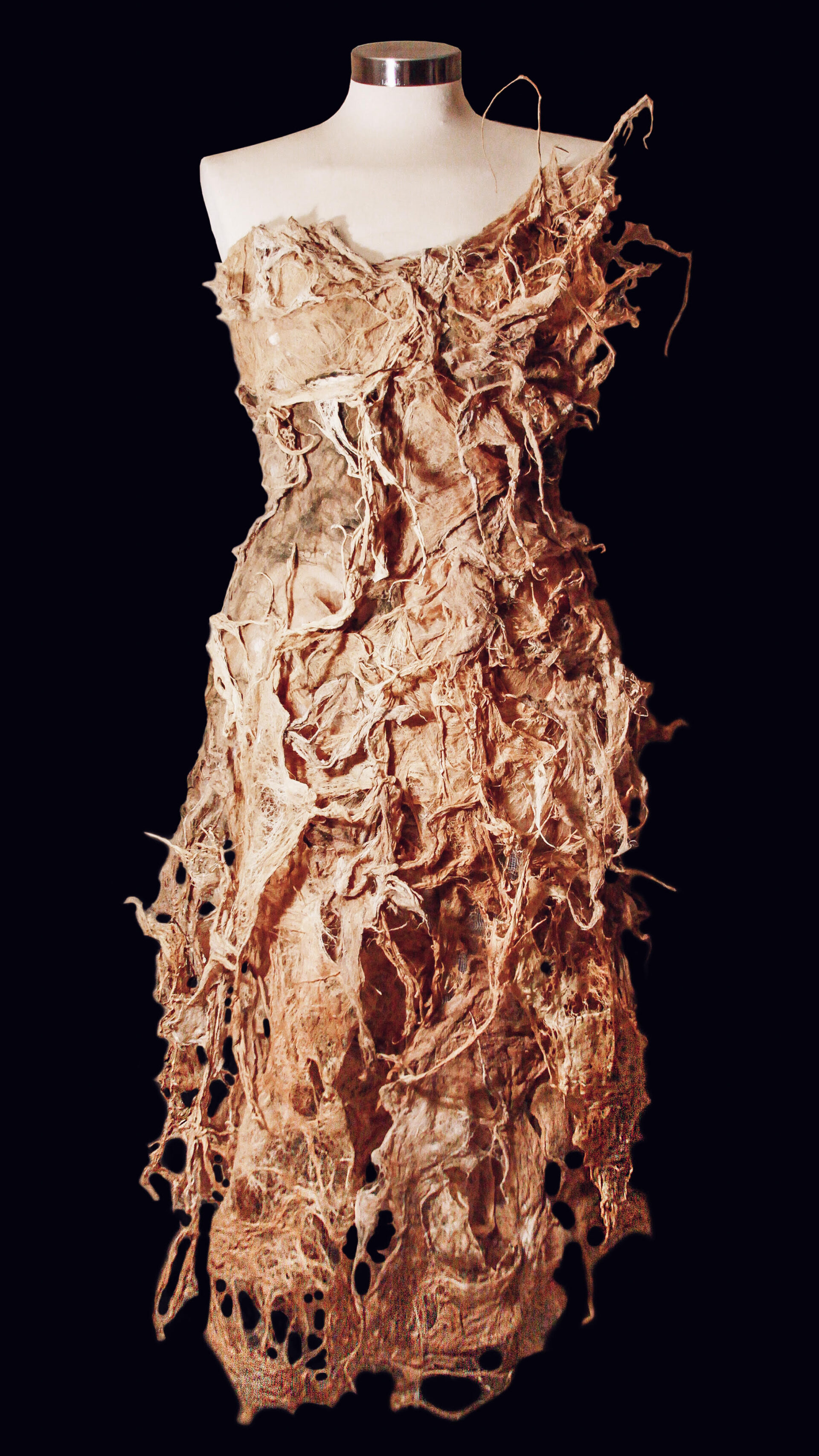 Biocouture: Are Aquatic Plants the Future of Sustainable Fashion ...