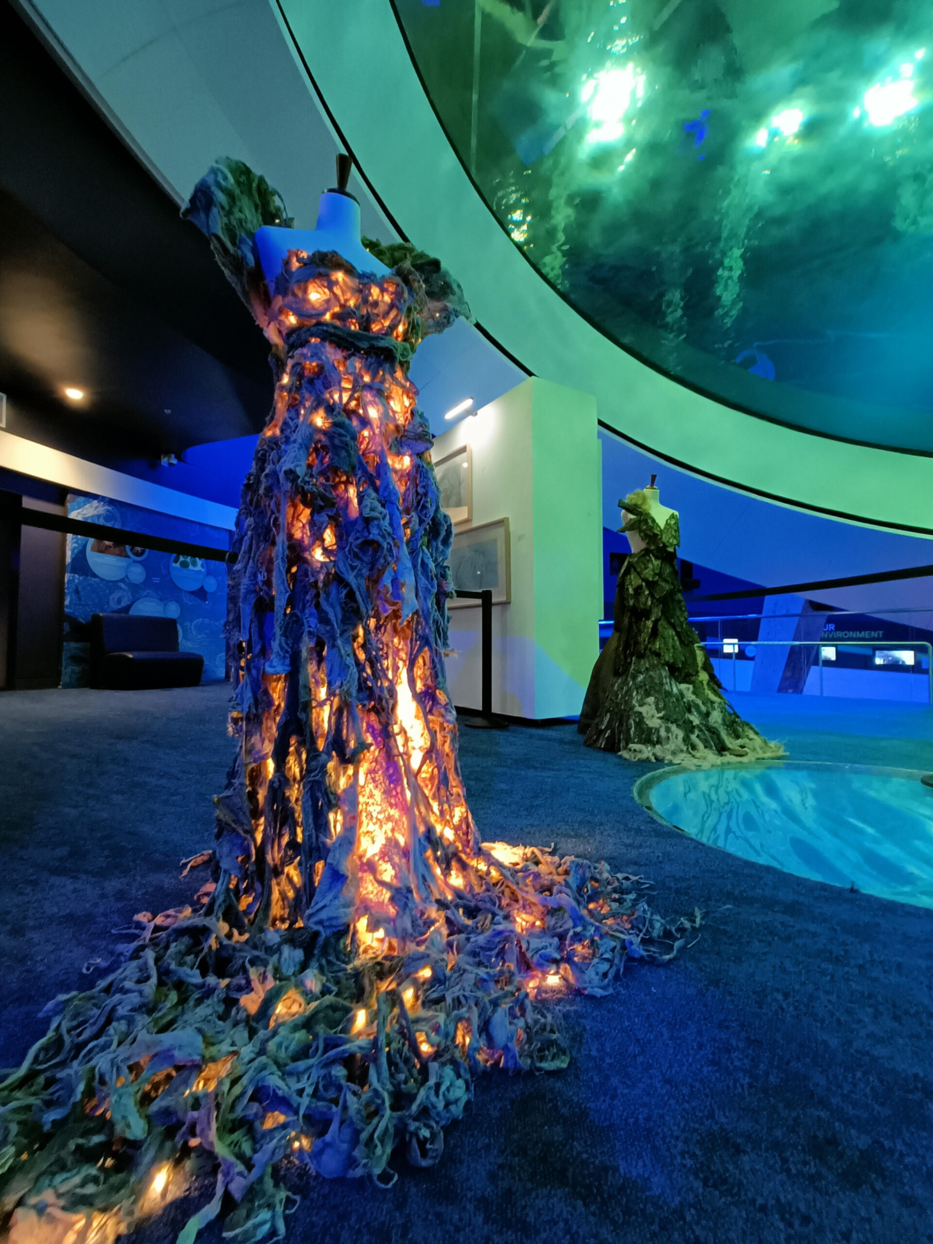 Biocouture: Are Aquatic Plants the Future of Sustainable Fashion ...