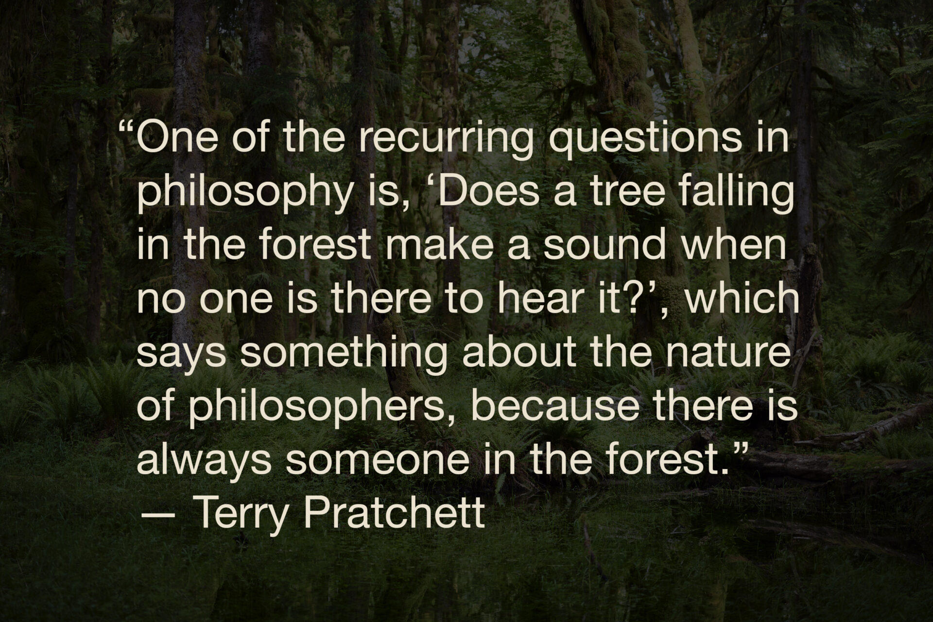 I Think Therefore I Relate – World Sensorium / Conservancy